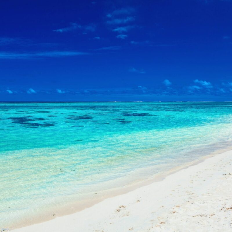 Own Nothing, Control Everything: The Ultimate Guide to Freedom